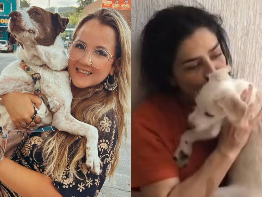 Cães de Letícia Sabatella: Entenda o Embate e o que a Atriz e o Abrigo ...
